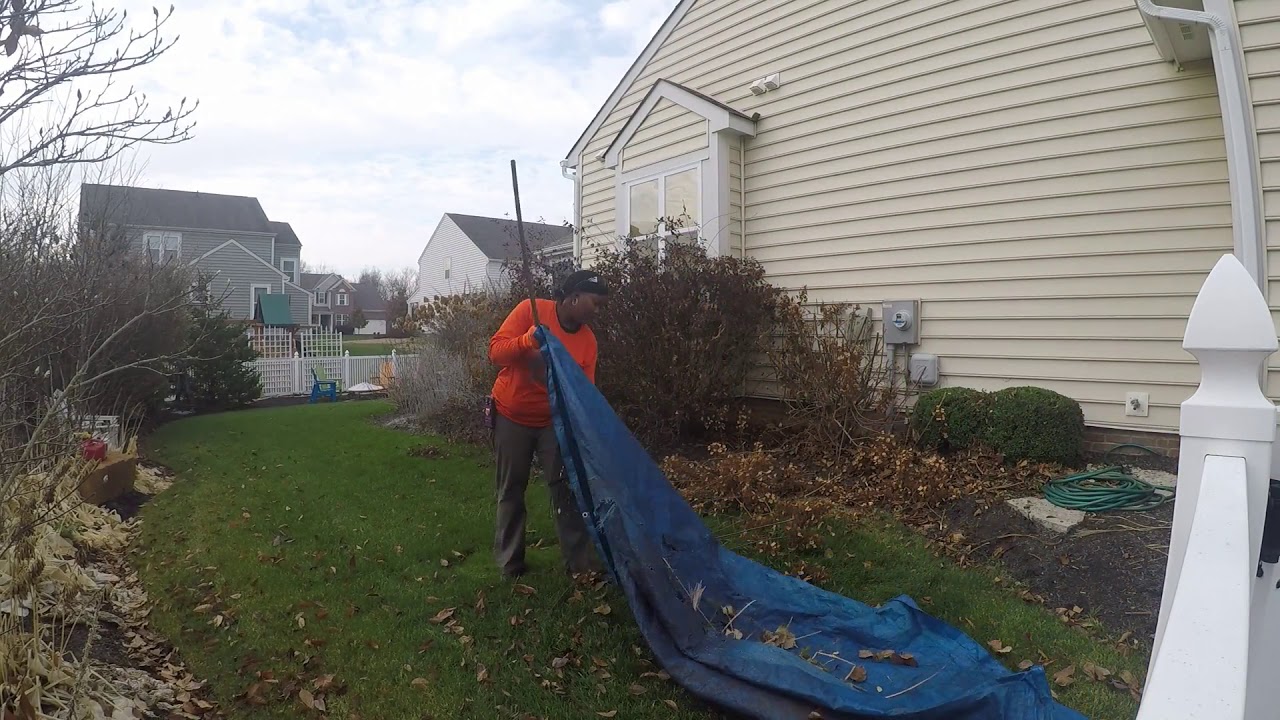 Fall Clean Up 101 - YouTube