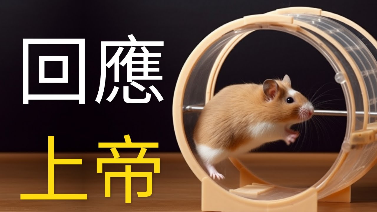 回應上帝 // Annerine Tomlinson - YouTube