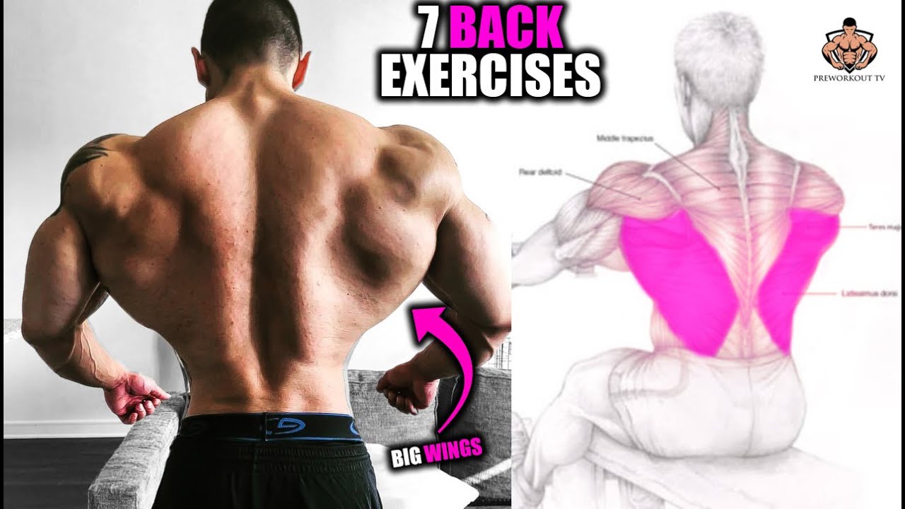 THE BEST BACK HOME WORKOUT ️ - YouTube