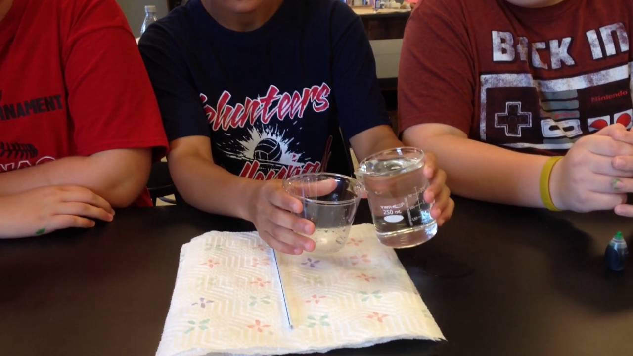 Cohesion experiment - YouTube