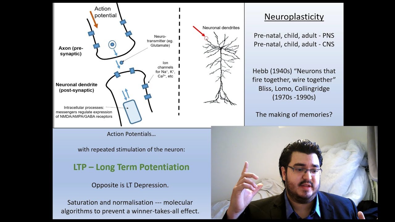 Neuroscience (Interdisciplinary) #2 - The Chemistry & Physics of Neural ...