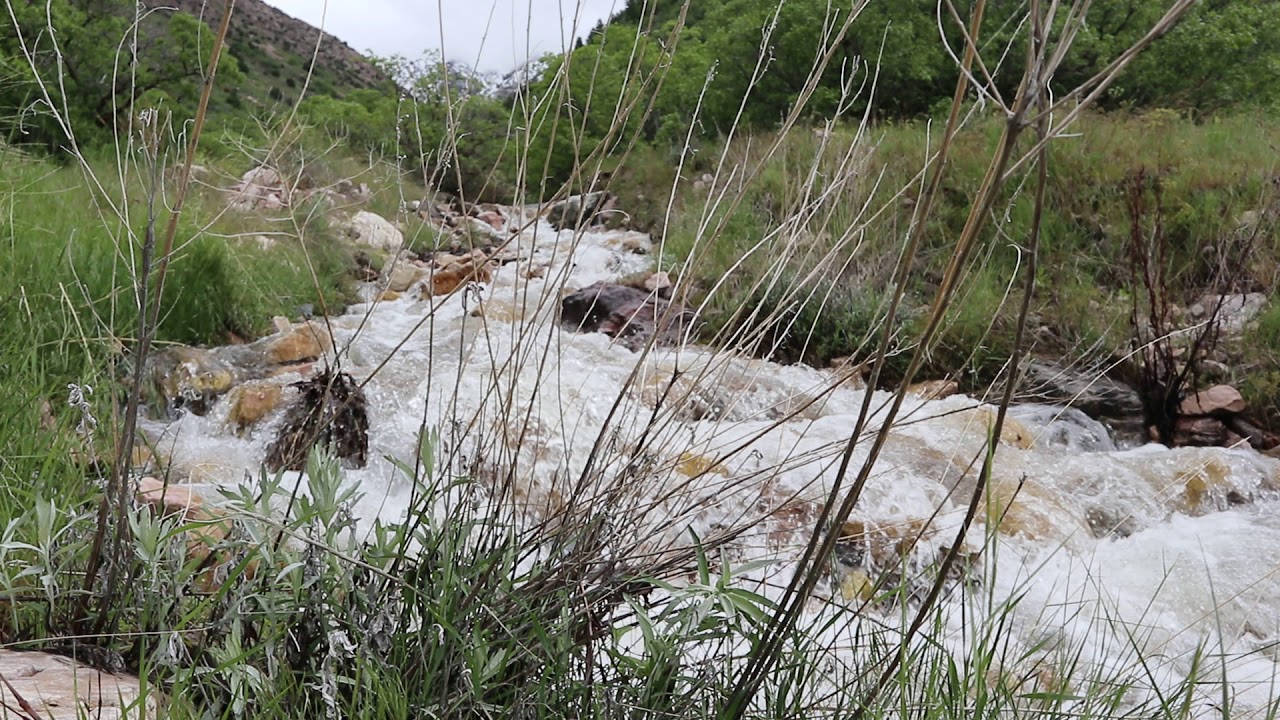 Utah Spring Creek - Nature Sound - Calm Meditating Short Film - Part 3 ...