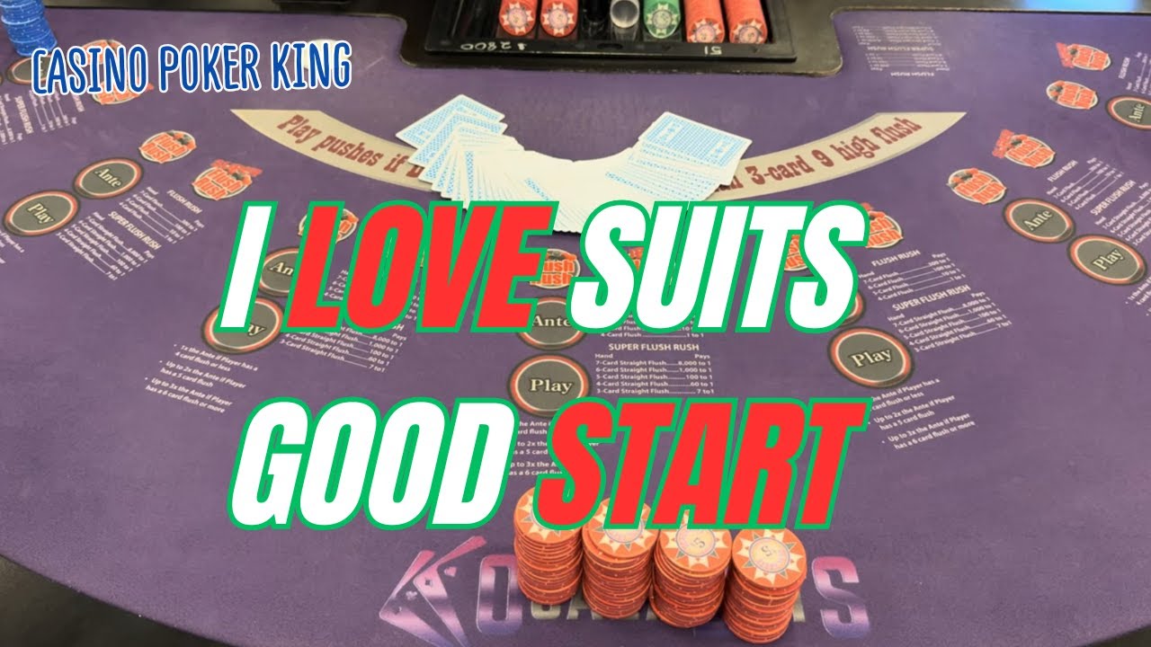 I LOVE SUITS ! At Ocala Bets , good start - YouTube