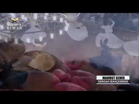 Dergah bahçesinde gül eker Pirim#diyartv #keşfet