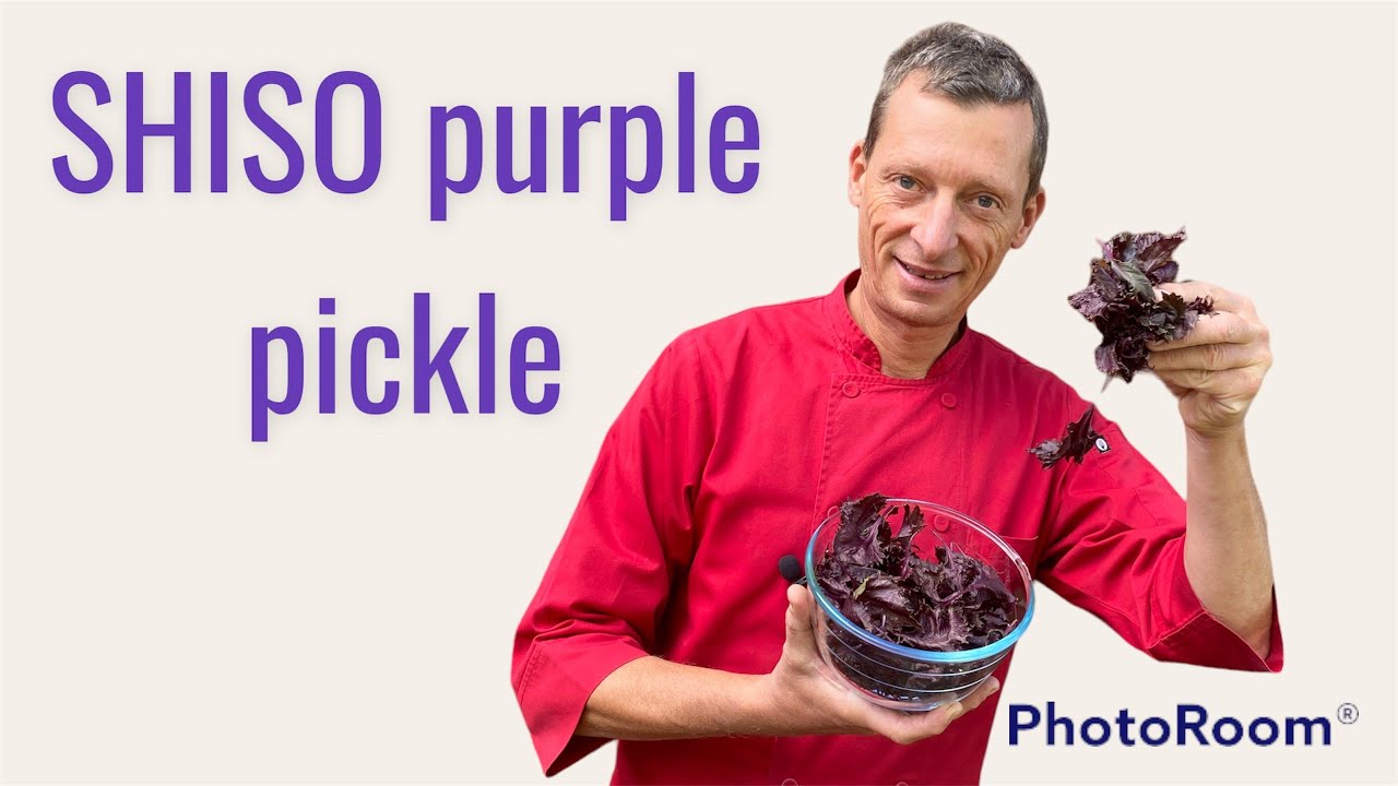 Shiso purple pickle - YouTube