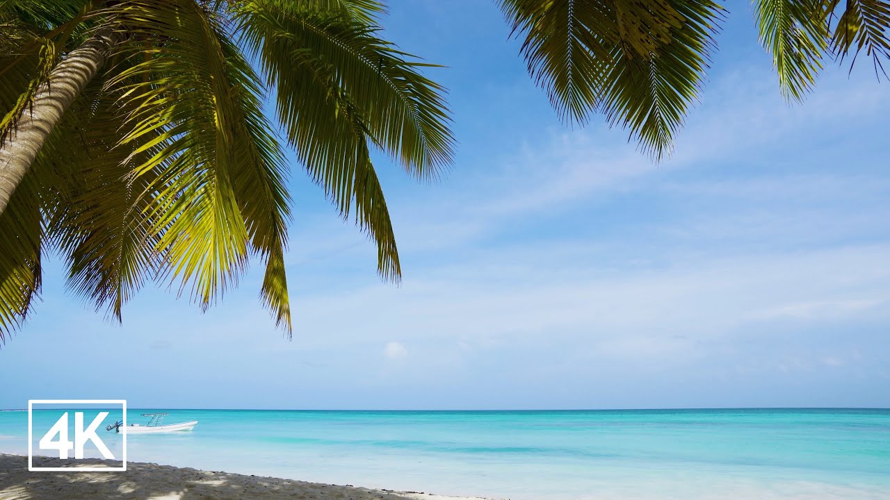 [4K] 🇲🇽 Caribbean Relaxation | Tropical Beach Ambience & Ocean Sounds ...
