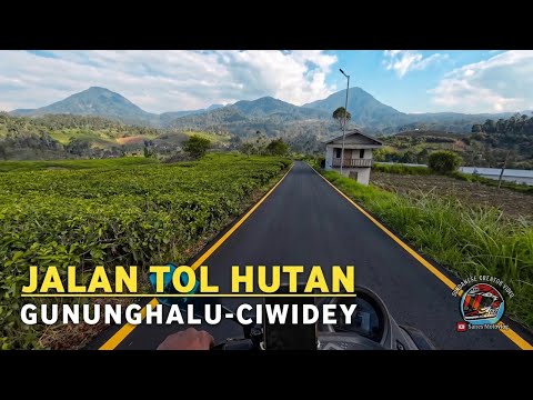 Kondisi Jalan Lebakmuncang Ciwidey Sampai Alun-alun 2026