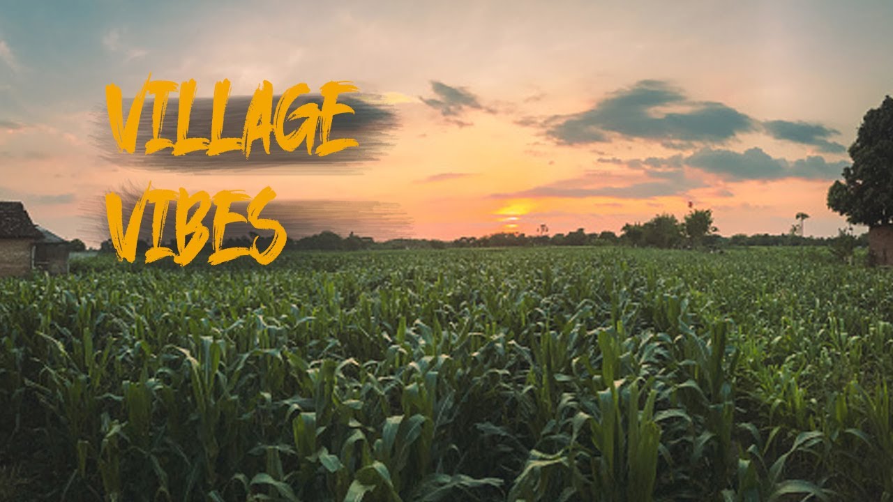 Village Vibes | Visit Green land | Beautiful morning village vibes ...