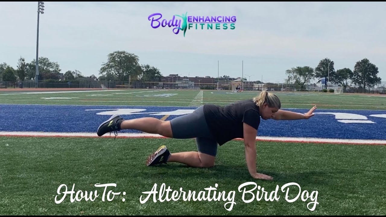 How To Do An Alternating Bird Dog - YouTube