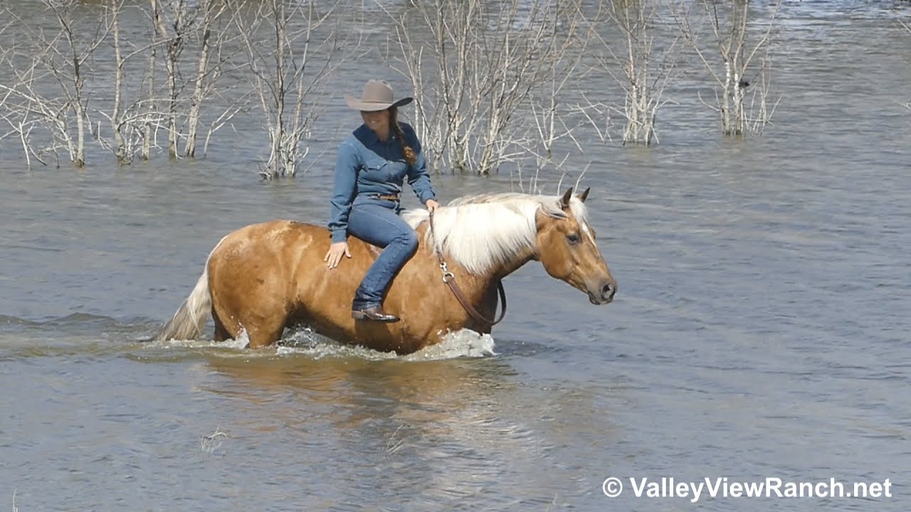 TF Cashsmrbarbiedoll - bareback bridle-less trail, obstacles, water ...