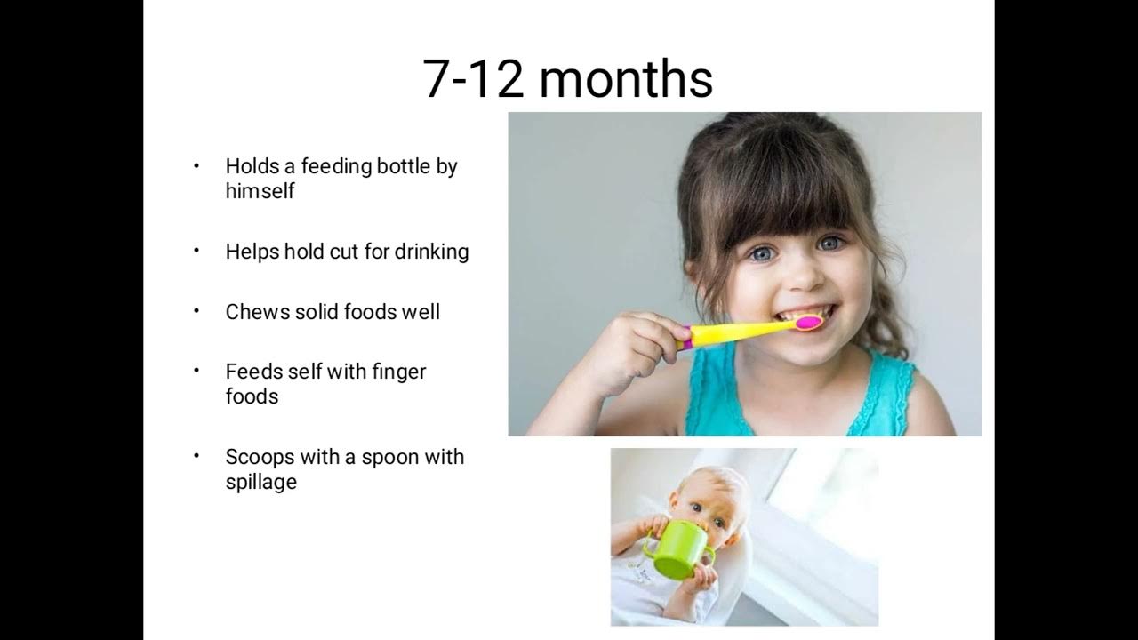 A Summary Of What Infants And Toddlers Can Do What Infants And a-summary-of-what-infants-and-toddlers-can-do-what-infants-and