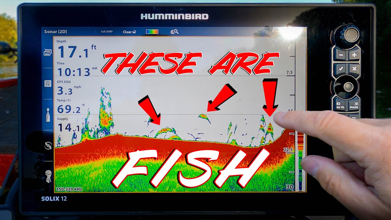 SONAR BASICS: HOW TO FIND FISH - YouTube