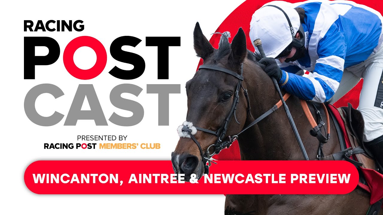 Badger Beer Handicap Chase Preview | Wincanton, Aintree & Newcastle | Racing Postcast - YouTube