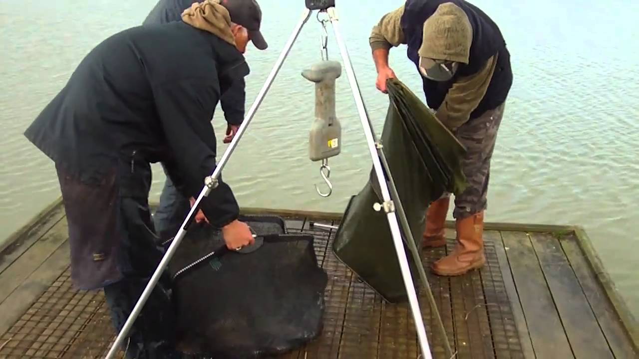 Toft Farm Fishery - Warwickshire - Carp Lake - YouTube