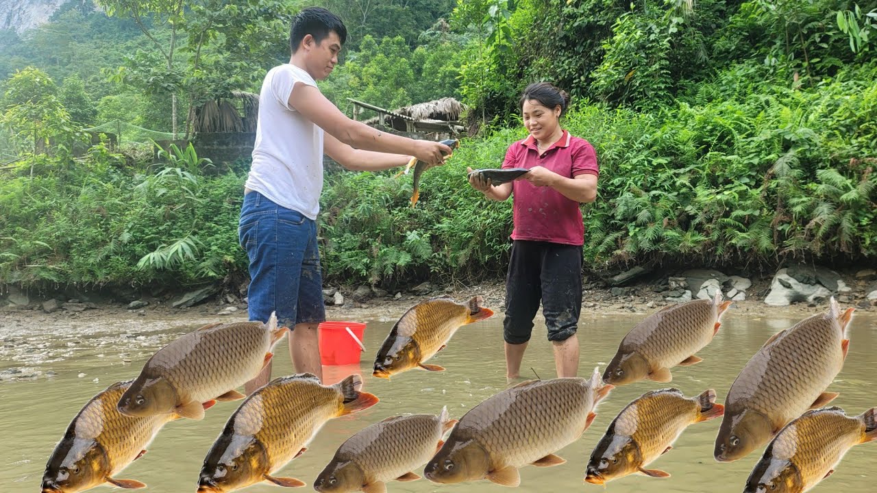 FullVideo Lam and me. catch fish. go to the market to sell ducks. he ...