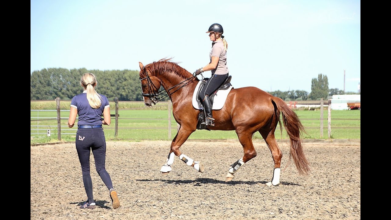 Overstappen naar Subtop met hulp van Danielle van Mierlo - YouTube