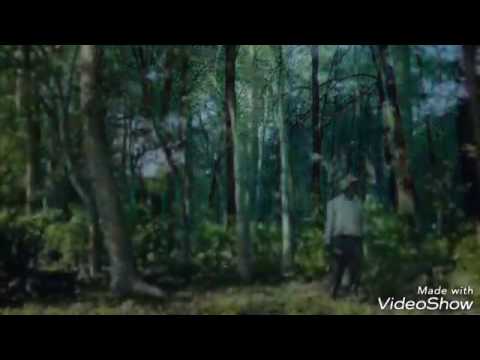 Dini hekayeler.Gece seyahet eden insanların hekayesi