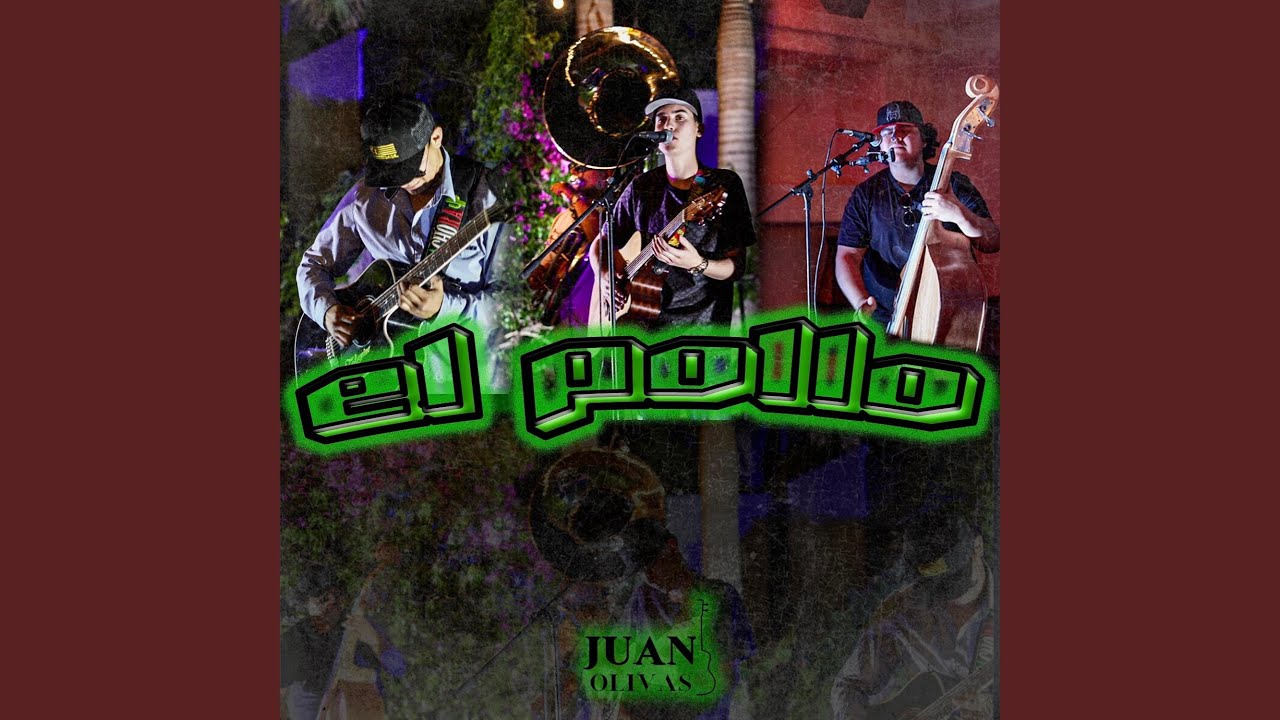 El Pollo - YouTube Music