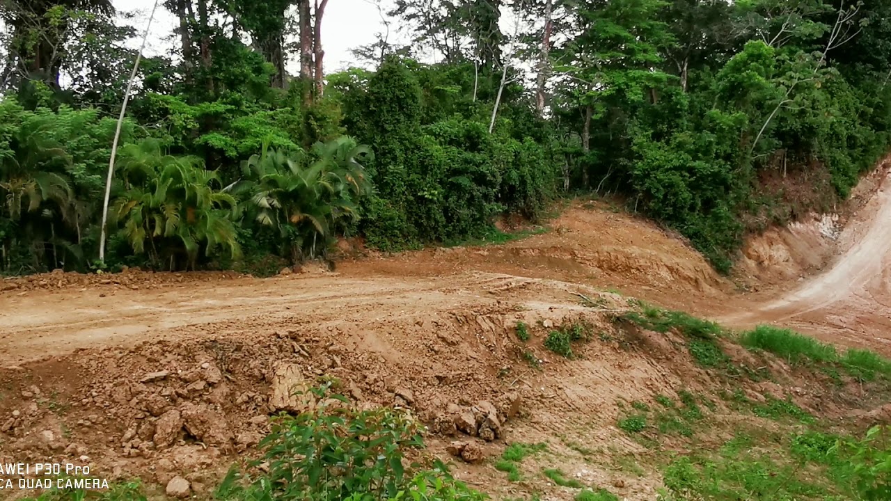 15 de junio 2020 Valle Verde Tony Meza - YouTube