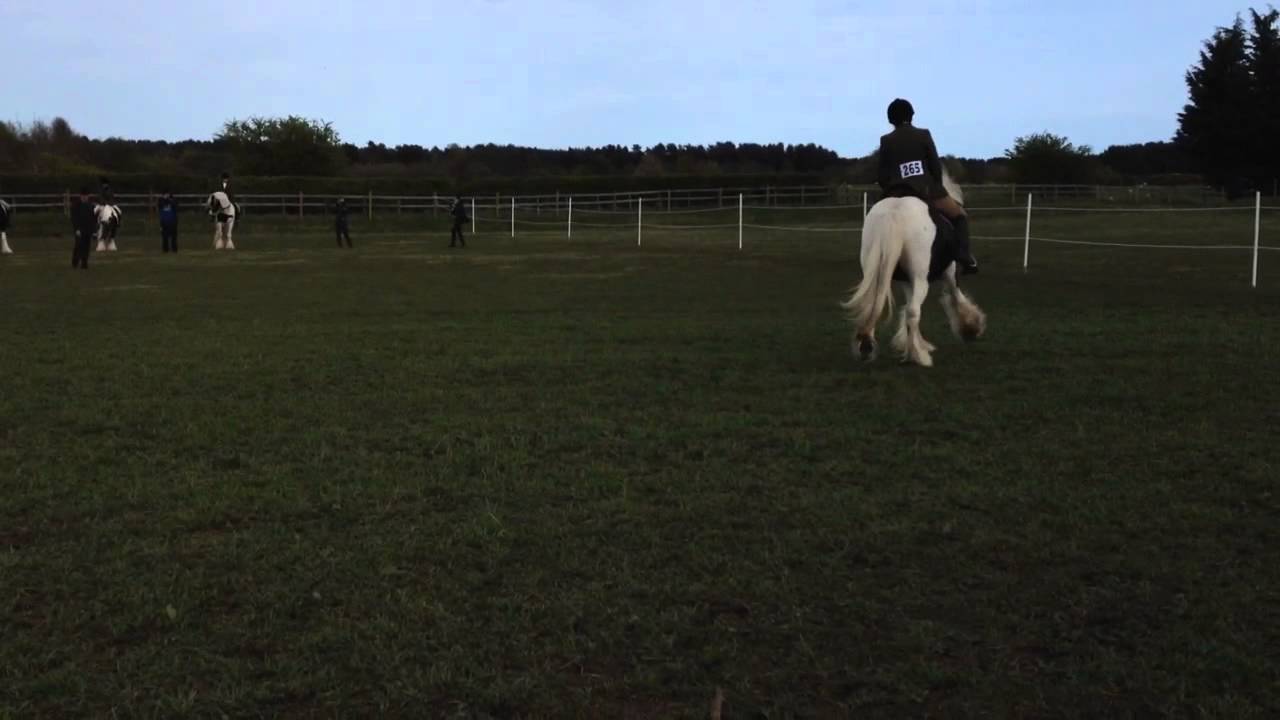 Puddledub Spring Show - Howe 2015 - Donna & Blue - YouTube