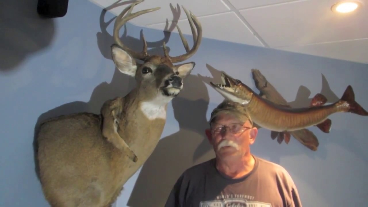 FIVE LEGGED DEER - YouTube