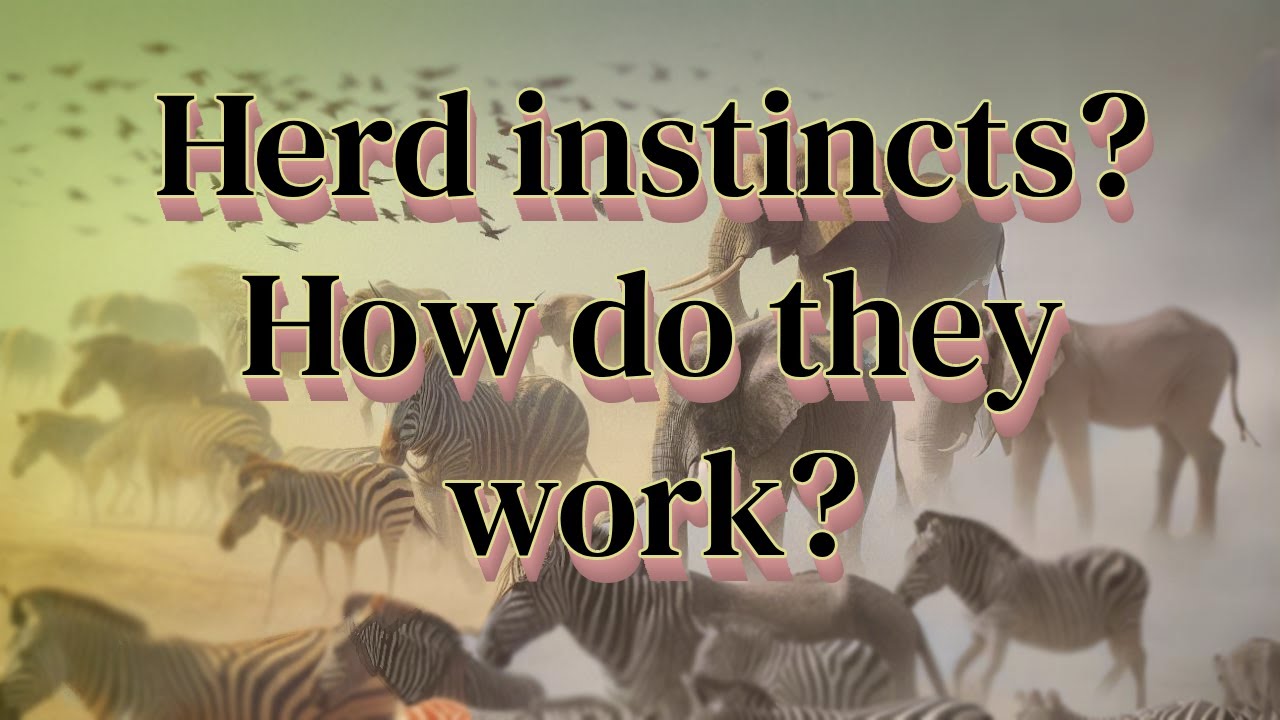 How strong is your herd instinct? Discover the power of social ...