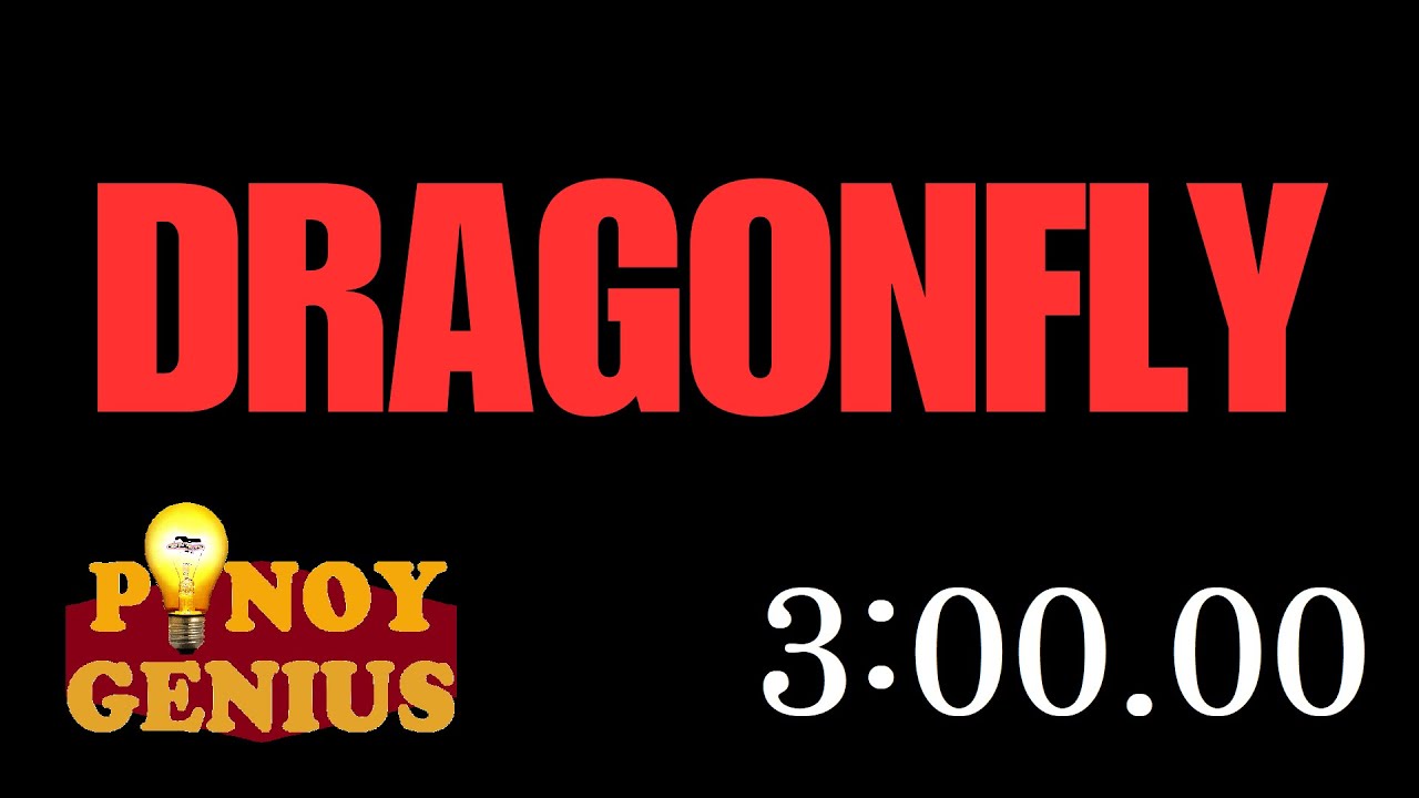 "DRAGONFLY" - Pinoy Henyo Word (with 3-minute timer) | Pinoy Genius ...