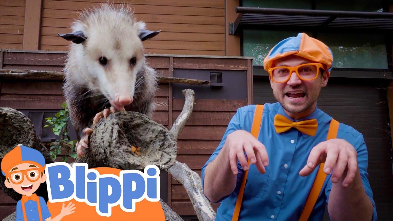 Blippi Goes to the Zoo to Learn About Amazing Animals! | Educational ...