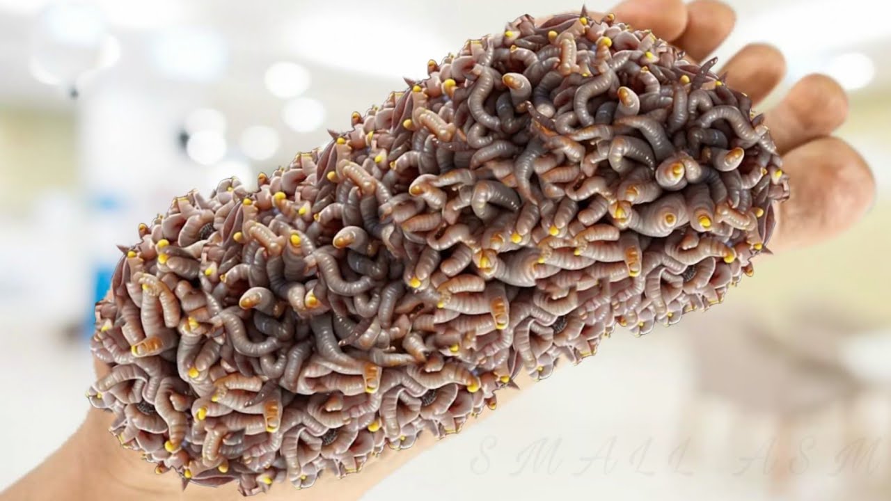 Animated Dreams: ASMR Relaxation Through 2D Art - YouTube