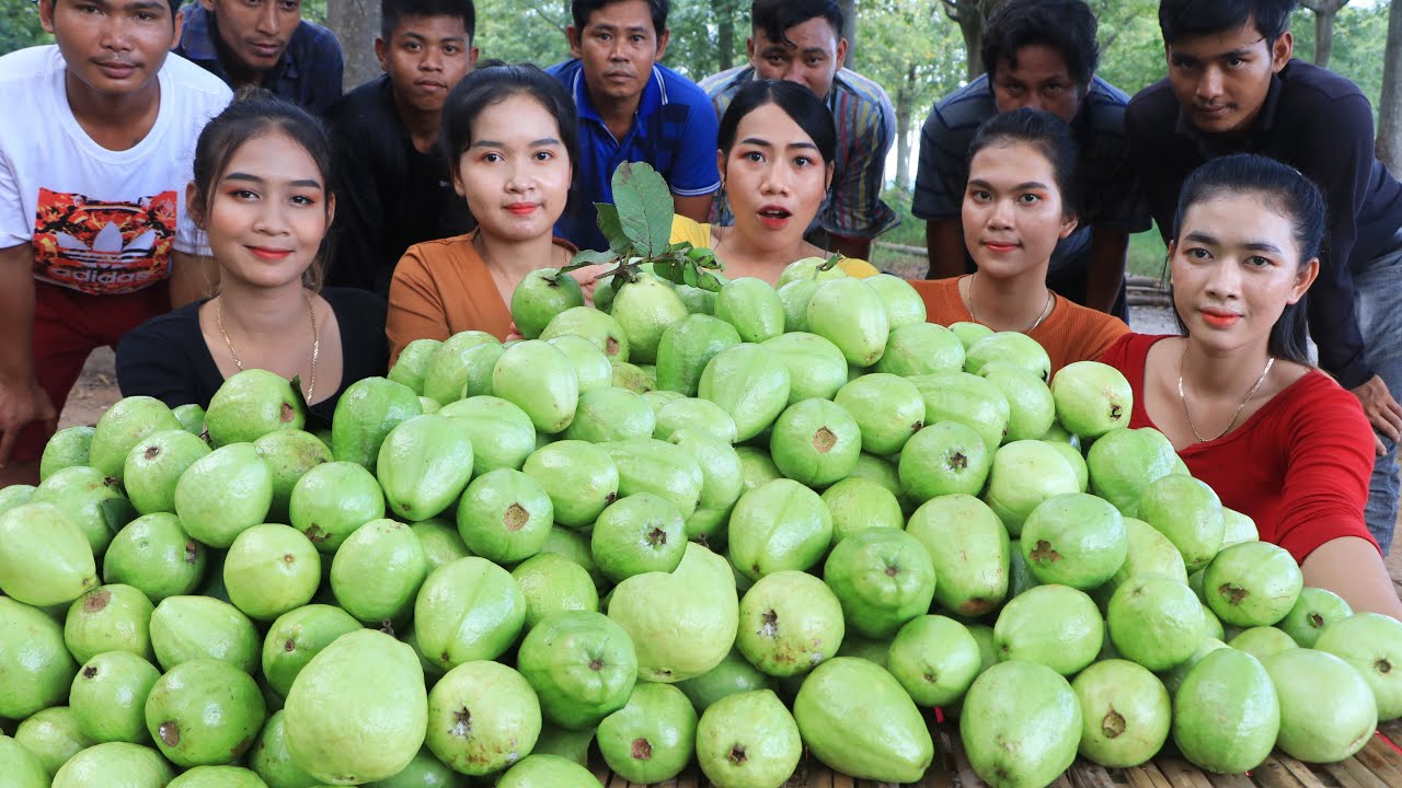 Fresh Guava eating with chili salt in my big family - Fresh Guava ...