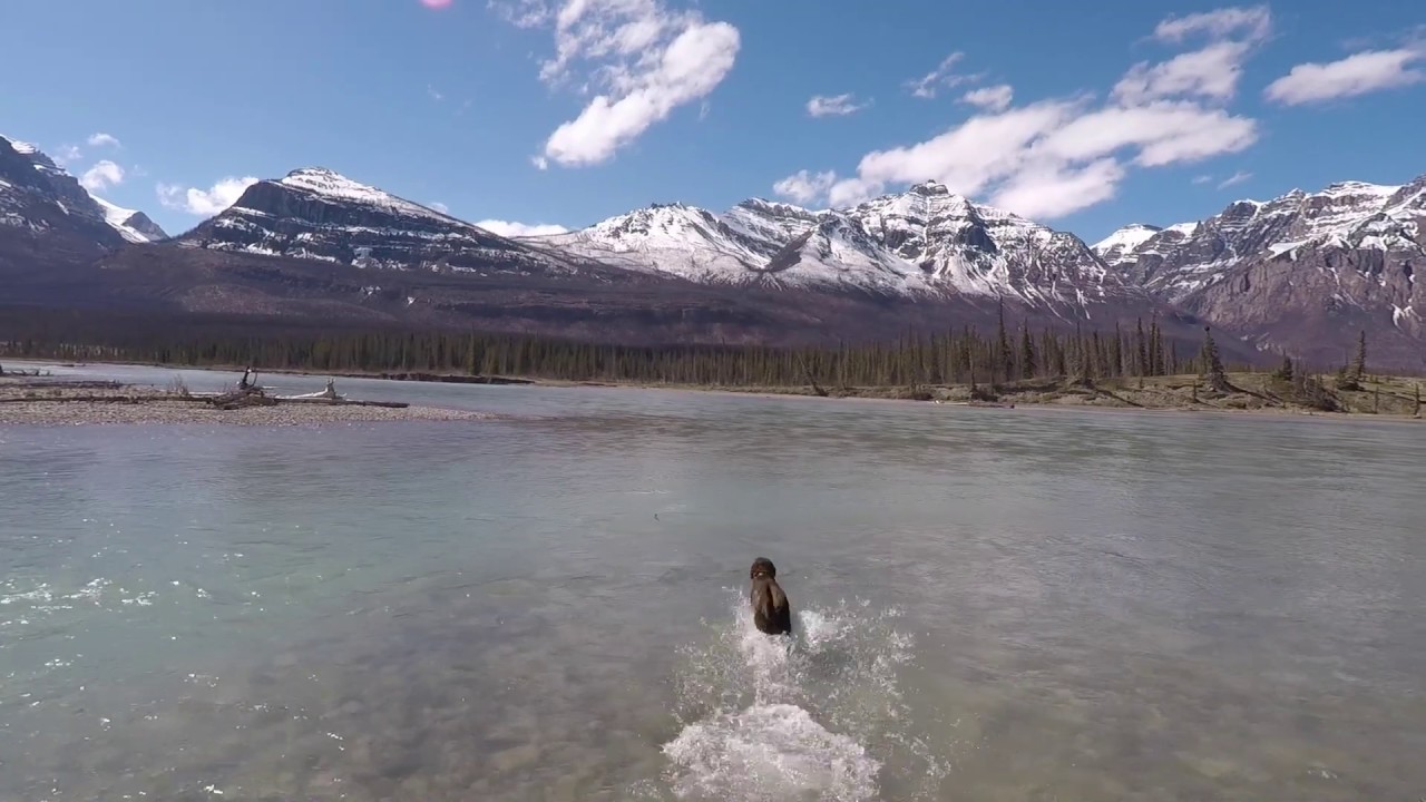 Alberta bush camping 2019 Ep.10 - YouTube