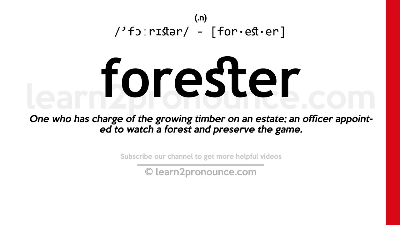Pronunciation of Forester | Definition of Forester - YouTube