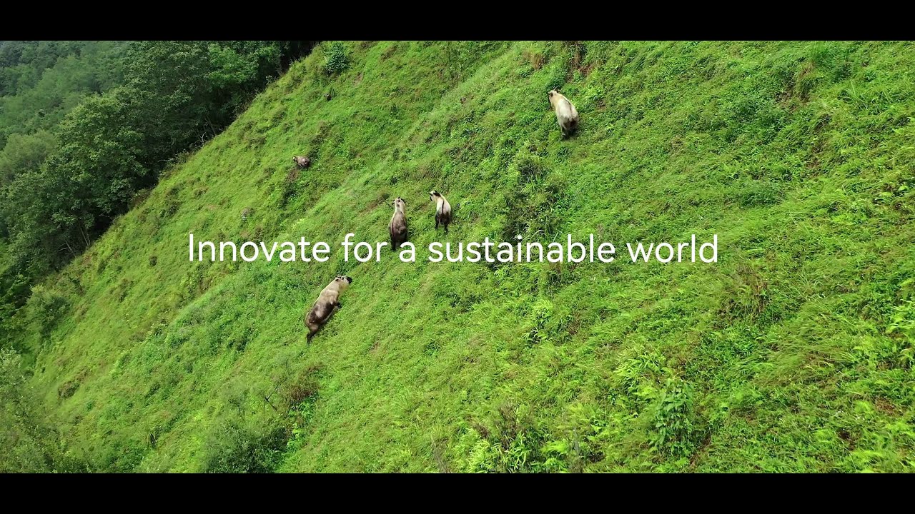 Cloud for Good: Tech for a Brighter Future - YouTube