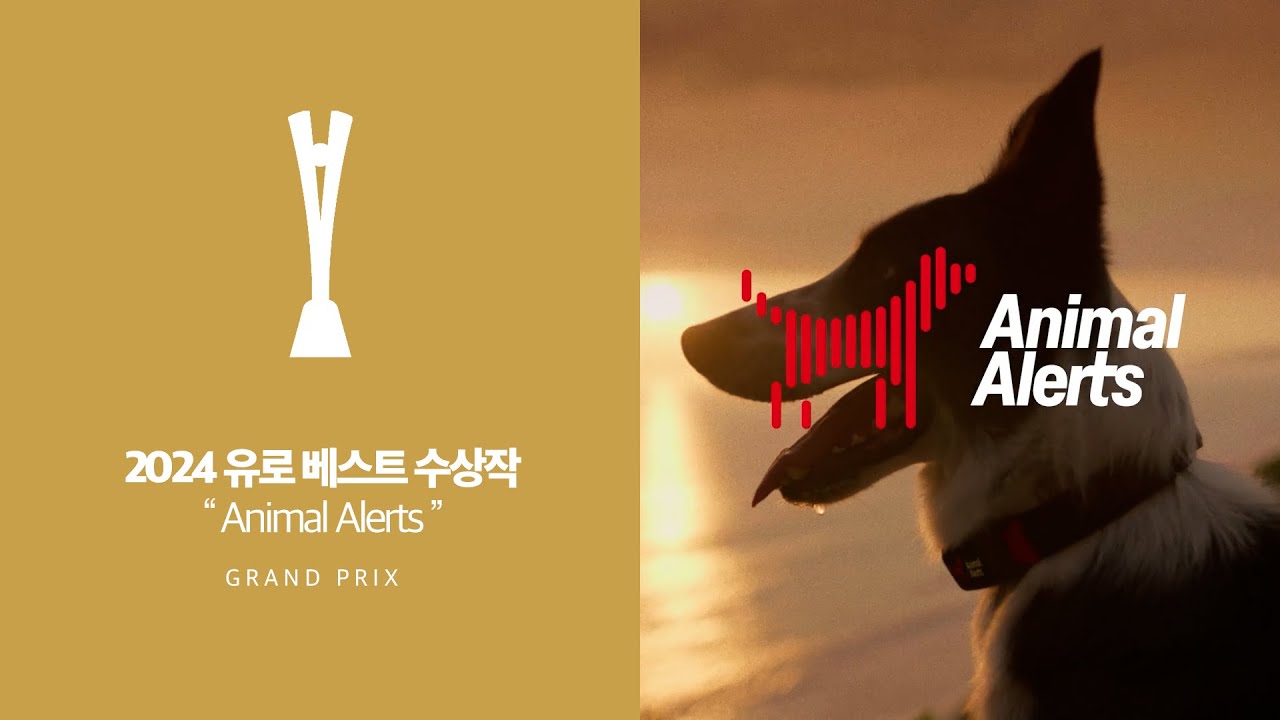 [ 2024 유로 베스트 수상작 / 대상 / 한글번역 ] PETPACE - Animal Alerts - YouTube
