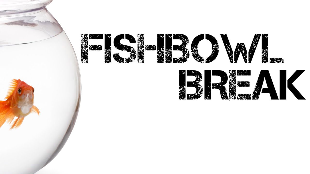 Fishbowl Break - Flash Animation - YouTube