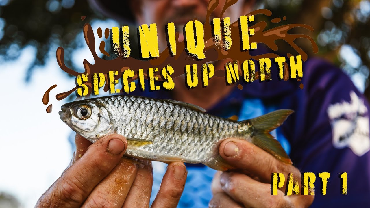 Unique Species Up North | Pt 1 - YouTube