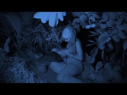 Wendy frees the Chickens! - Survivor S38 E4