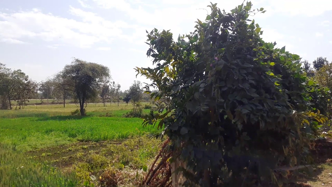 Basant ritu ka mosam - YouTube