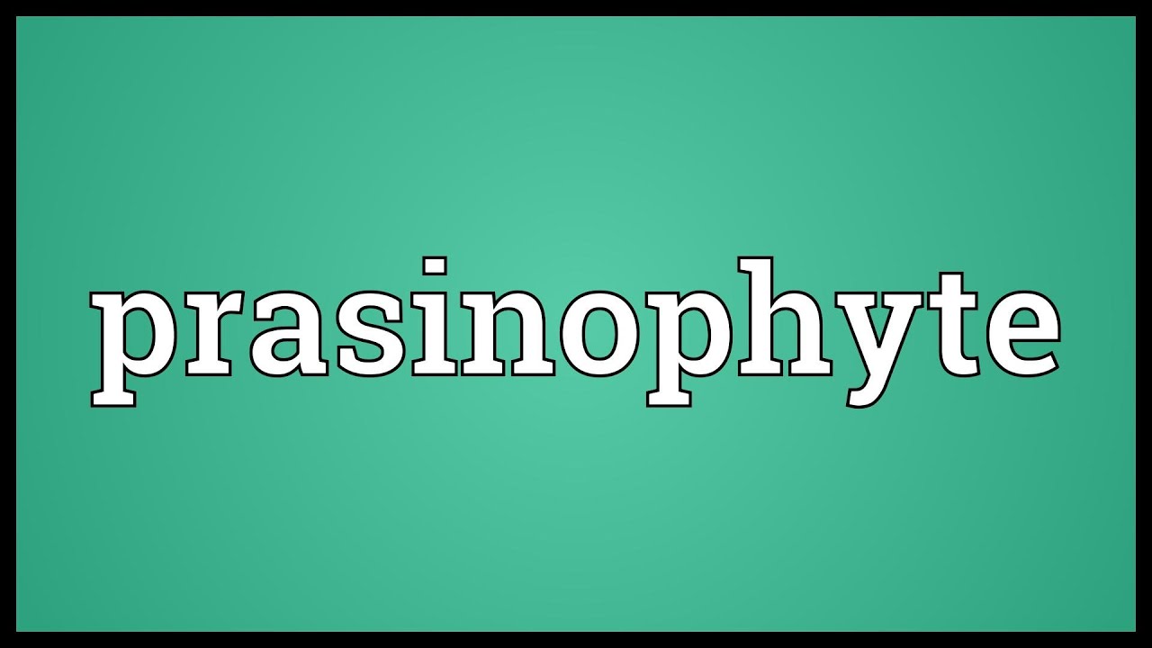 Prasinophyte Meaning - YouTube