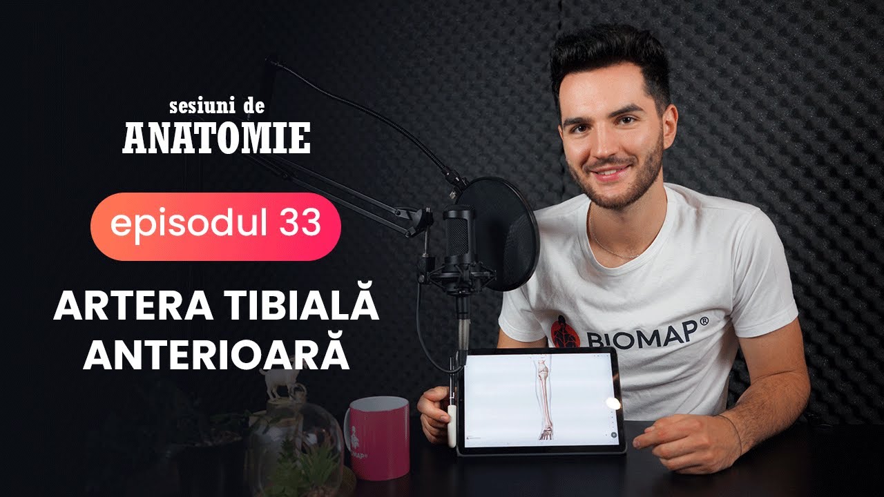 Artera tibială anterioară @Sesiuni de ANATOMIE - ep.33 - YouTube