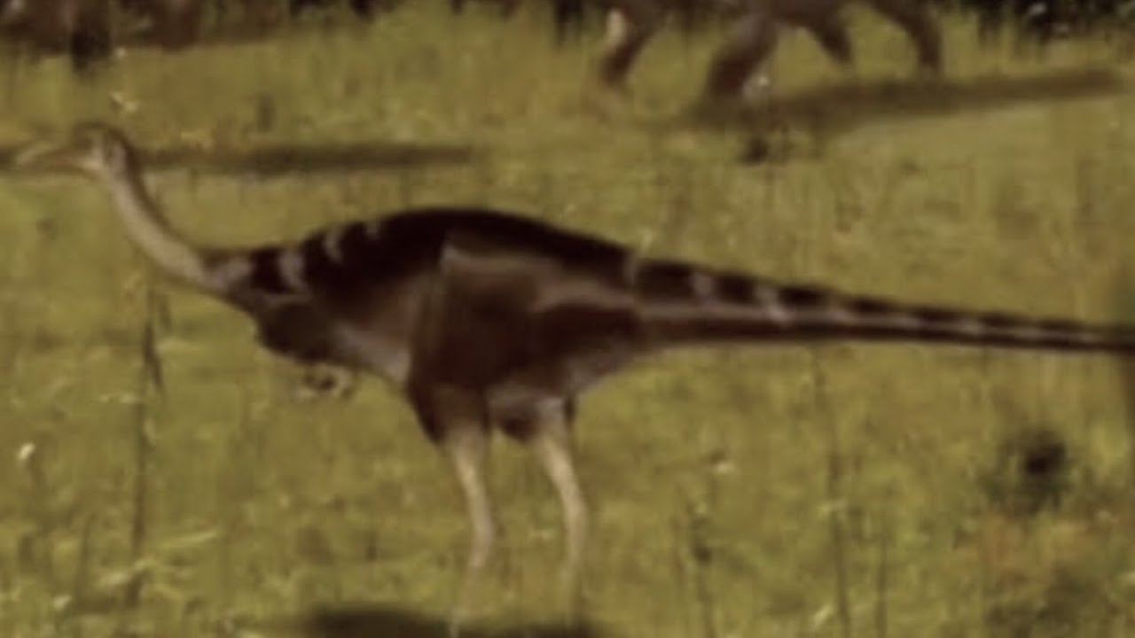When Dinosaur Roamed America [2001] - Ornithomimus Screen Time - YouTube