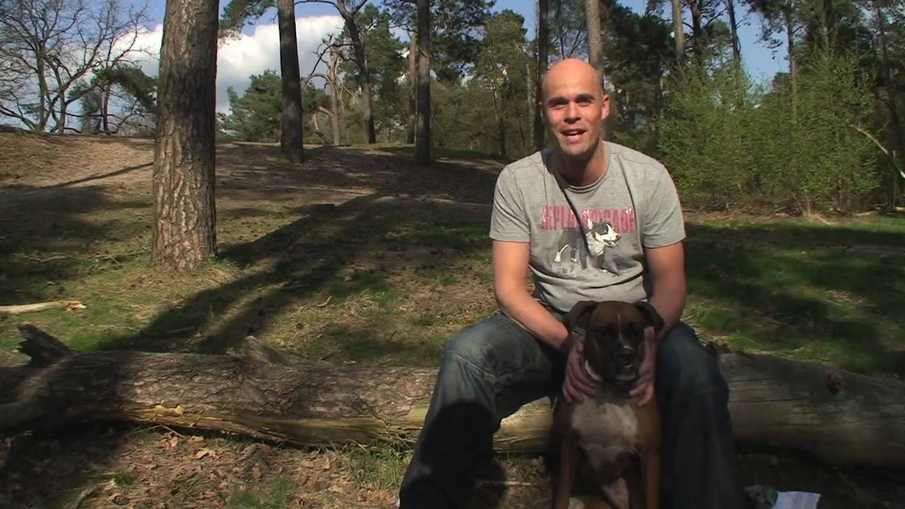 Puppycursus van hondentrainer Marco Starink - YouTube