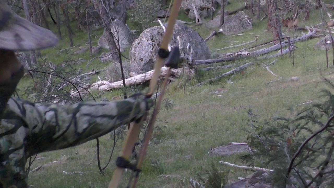 Bow Hunting Australia Sambar Deer - YouTube