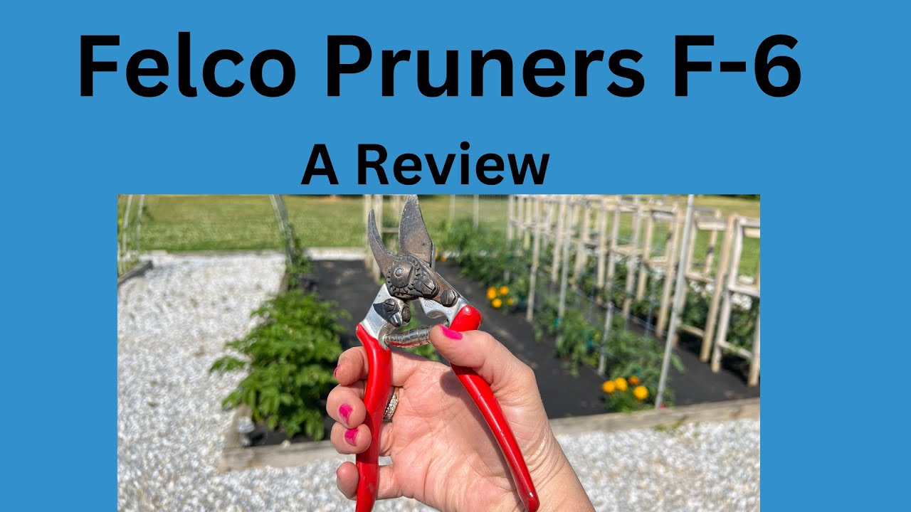 Best Hand Pruners for Small Hands? Felco 6 - YouTube