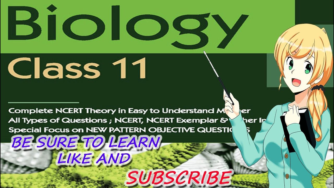Biology Chapter 13 Photosynthesis in Higher Plants Part 4 Cornelius van ...