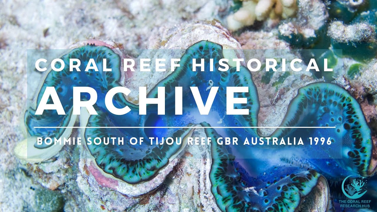 Coral Reefs in Australia: GBR Bommie South of Tijou Reef 1996 ...