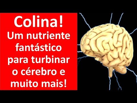 Colina! um nutriente fantástico para turbinar o cérebro e muito mais! | Dr. Marco Menelau
