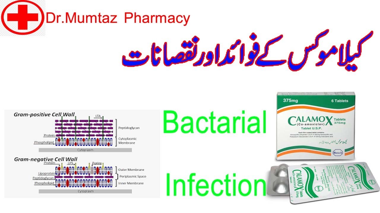 TAB CALAMOX-Ek behtreen antibiotic hr kism k becteriol infection k leye ...