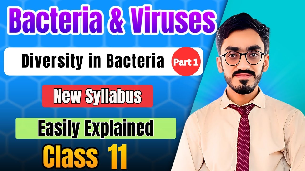 Diversity in Bacteria | Class 11 Biology Chapter 2 | New syllabus - YouTube