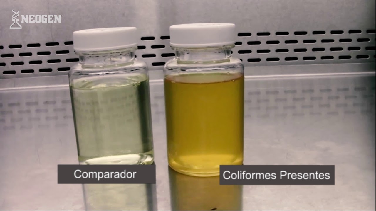 Video de demostración para Colitag™ - YouTube